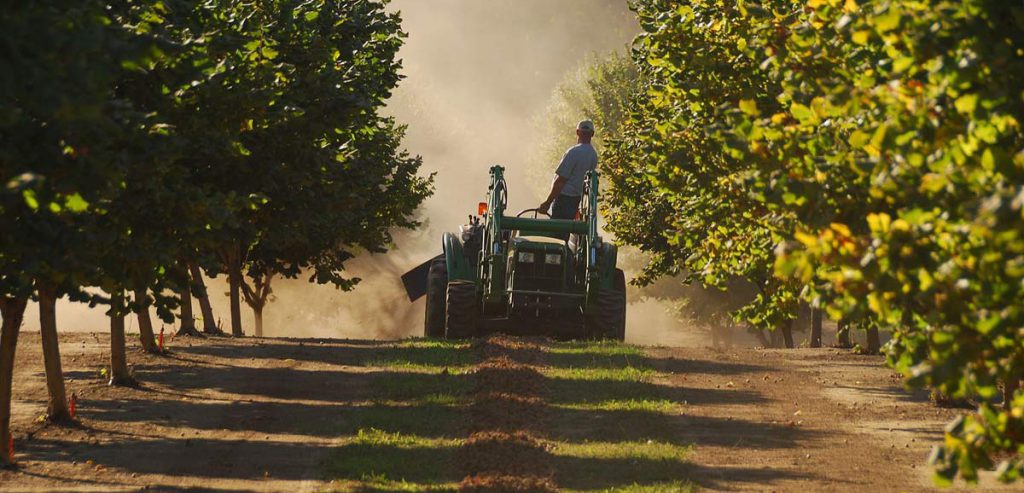 Grower Resources - BC Hazelnut Growers Association